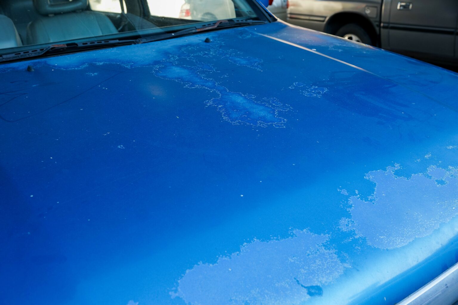 Outsmart the Elements | Ultimate Protection for Your Vehicle